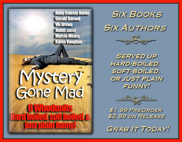 #MysteryGoneMad Boxed Set Available for PreOrder | The Write Stuff